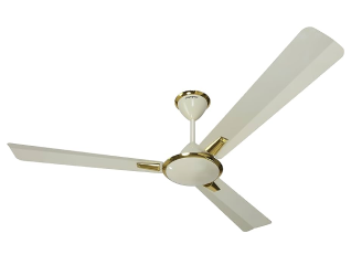 Ortem Fan - Price in India | Bajaj Finserv