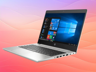Hp probook 445rg6 store