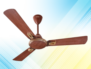 5 Types of Ceiling Fans for a Modern Home