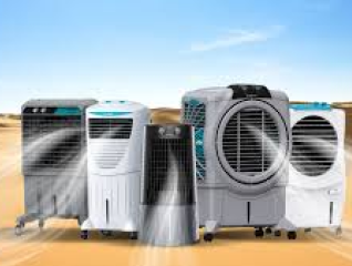 Best Cooler Brand: Top Companies Compared