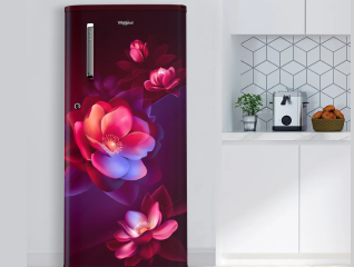 Explore Whirlpool Glass Door Refrigerators Online | Bajaj Finserv